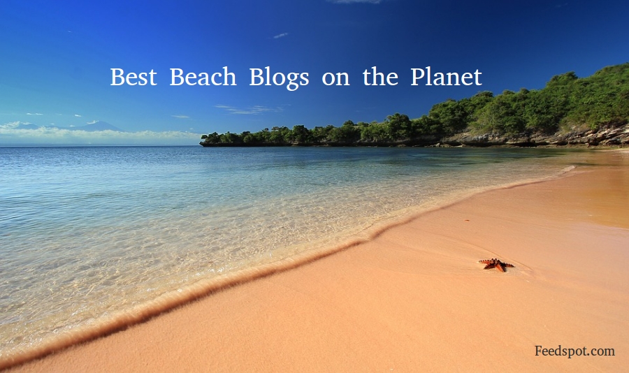 70 Best Beach Blogs and Websites in 2026