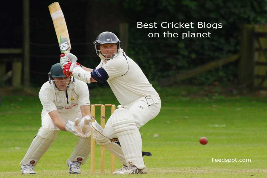 100 Best Cricket Blogs to Follow in 2026