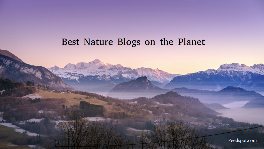 100 Best Nature Blogs and Websites in 2026