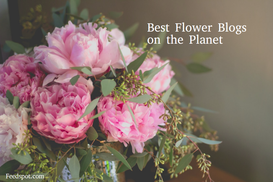 90 Best Flower Blogs and Websites in 2025