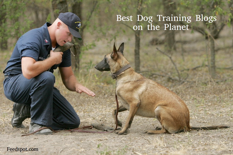 80 Best Dog Training Blogs and Websites in 2025