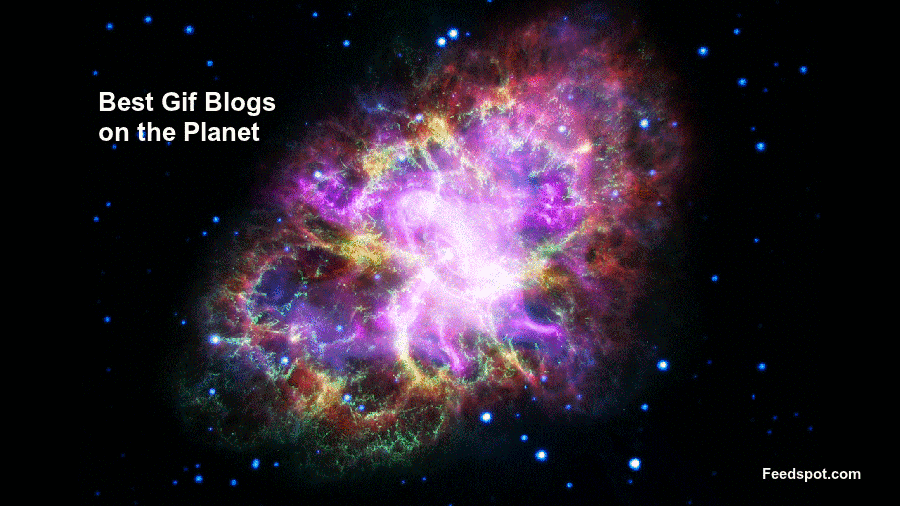 20 Best GIF Blogs to Follow in 2026
