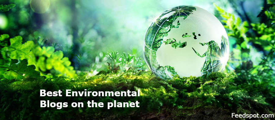 90 Best Environmental Blogs and Websites in 2025
