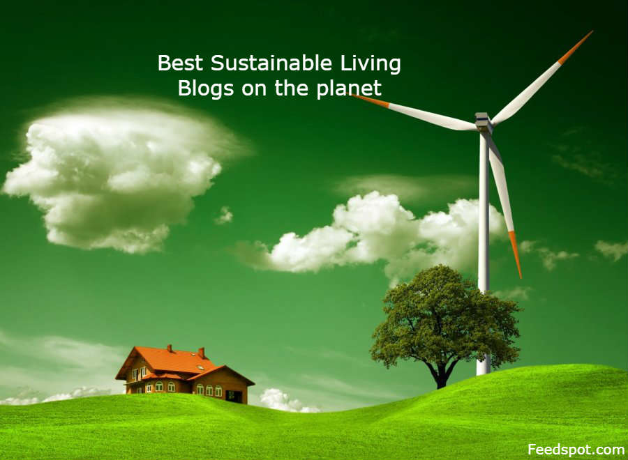 80 Best Sustainable Living Blogs and Websites in 2025