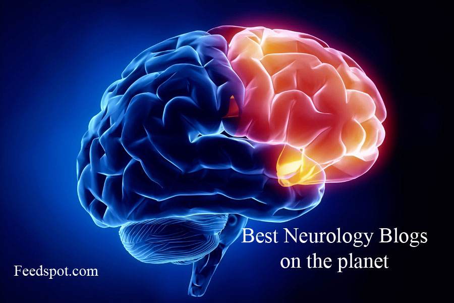 35 Best Neurology Blogs and Websites in 2025