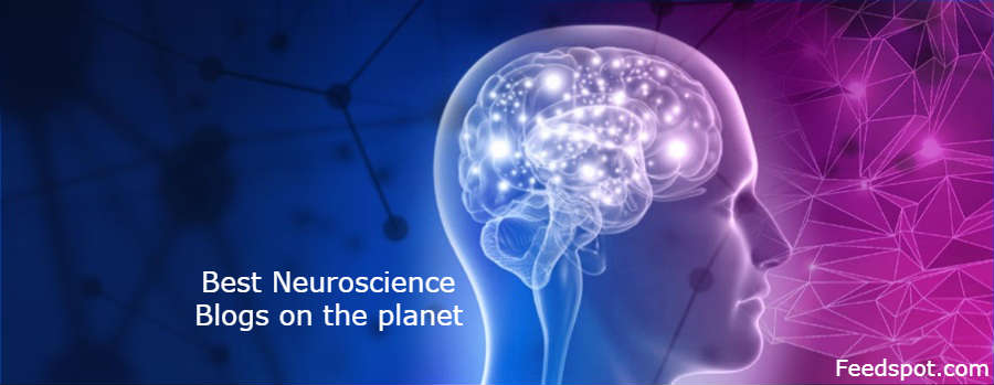70 Best Neuroscience Blogs and Websites in 2025