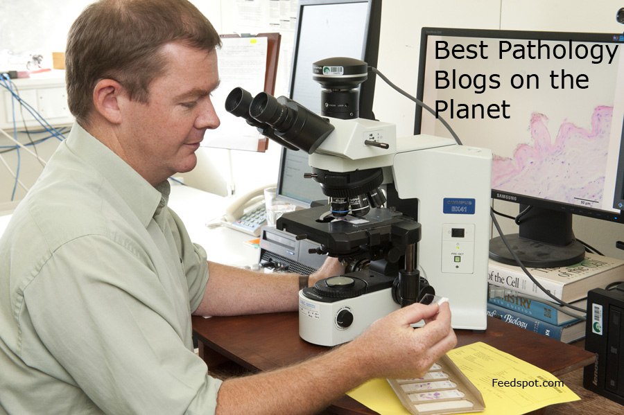 25 Best Pathology Blogs and Websites in 2025