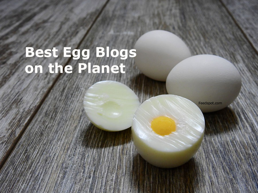 15 Best Egg Blogs and Websites in 2026