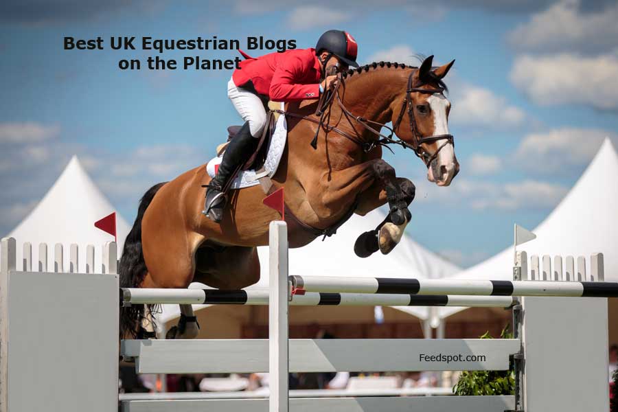 20 Best UK Equestrian Blogs to Follow in 2026