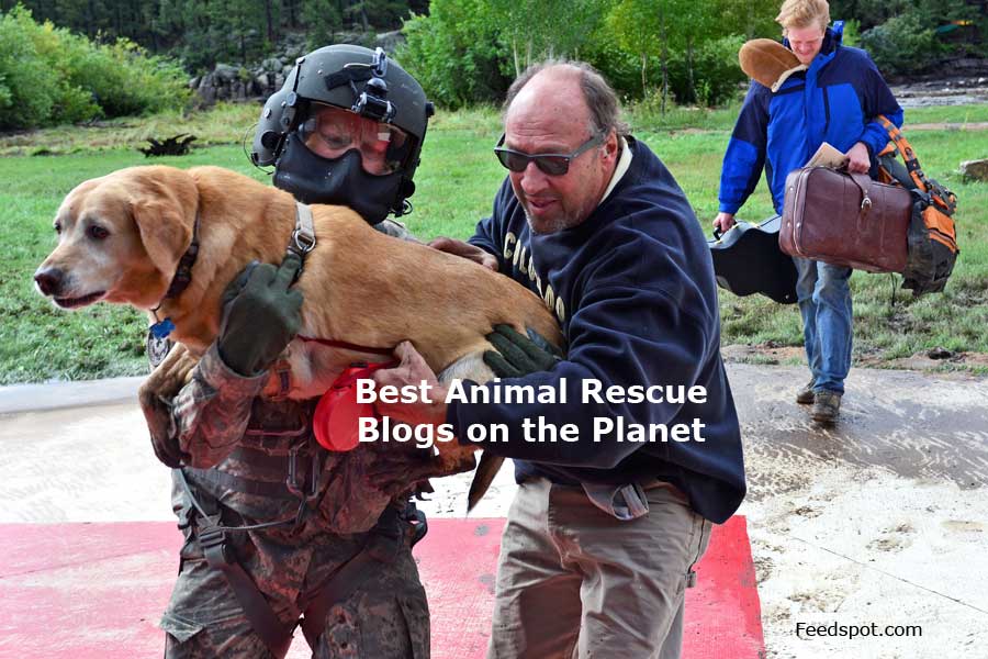 80 Best Animal Rescue Blogs and Websites in 2025