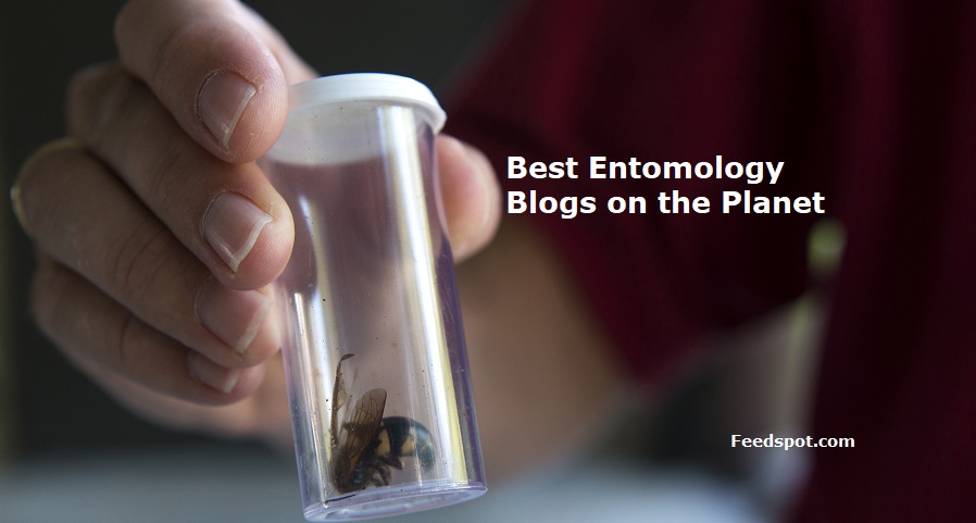 30 Best Entomology Blogs to Follow in 2026