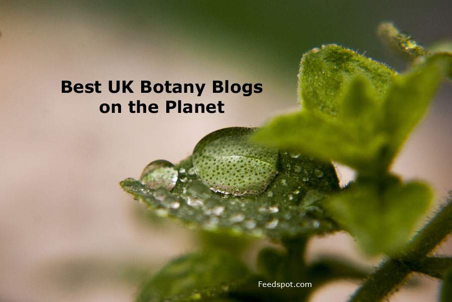 10 Best UK Botany Blogs and Websites in 2026