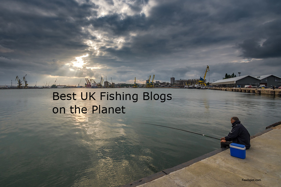 20 Best UK Fishing Blogs and Websites in 2025