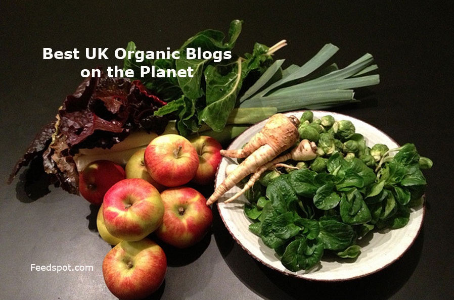 10 Best UK Organic Blogs and Websites in 2025