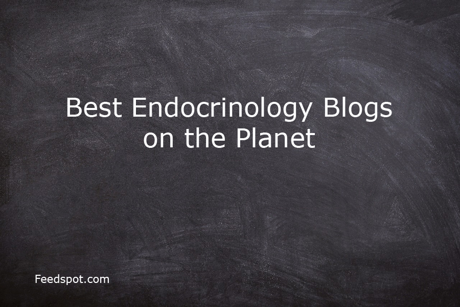 10 Best Endocrinology Blogs to Follow in 2026