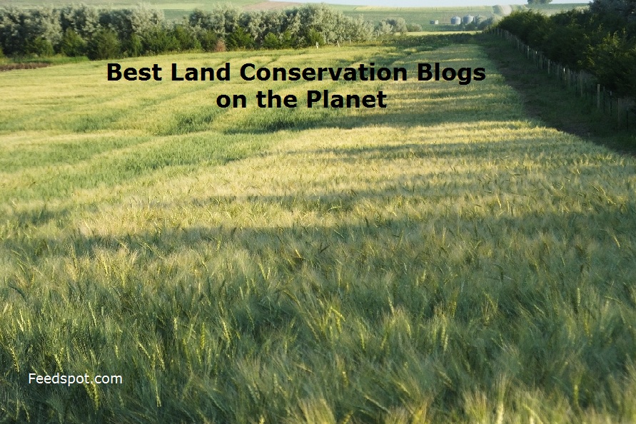10 Best Land Conservation Blogs and Websites in 2025