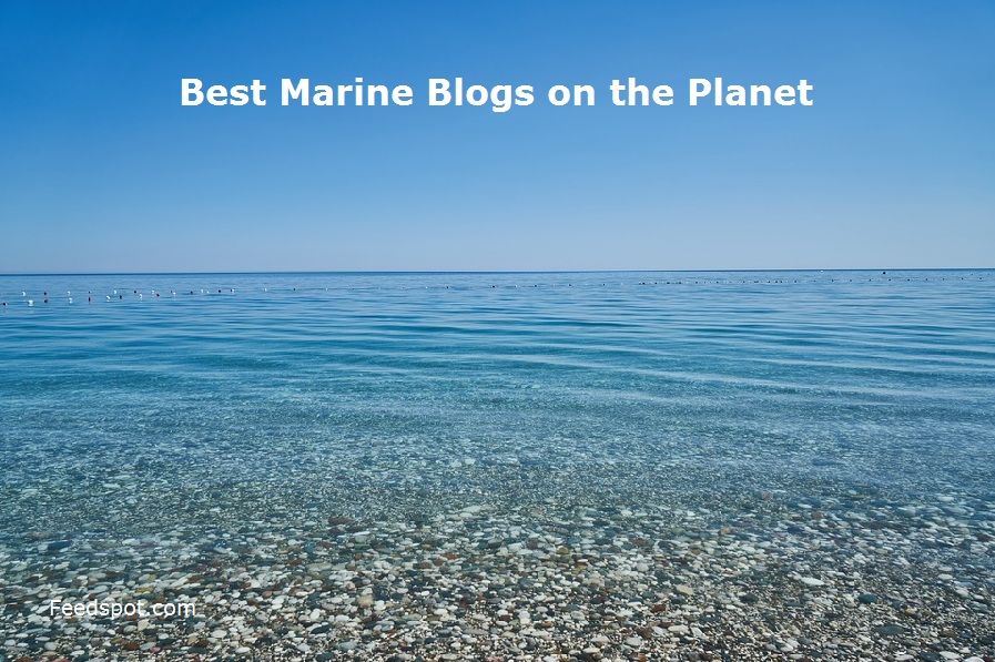 45 Best Marine Blogs and Websites in 2025