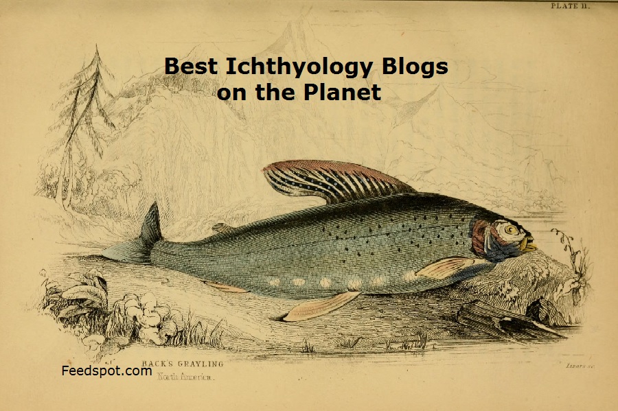 5 Best Ichthyology Blogs to Follow in 2026